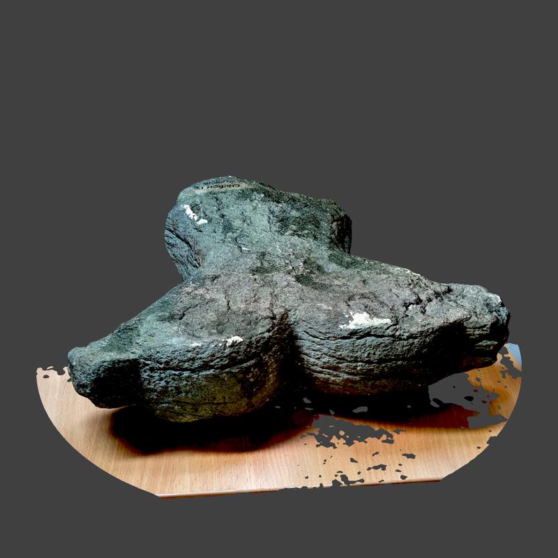 3D scan by @Northman on Scaniverse