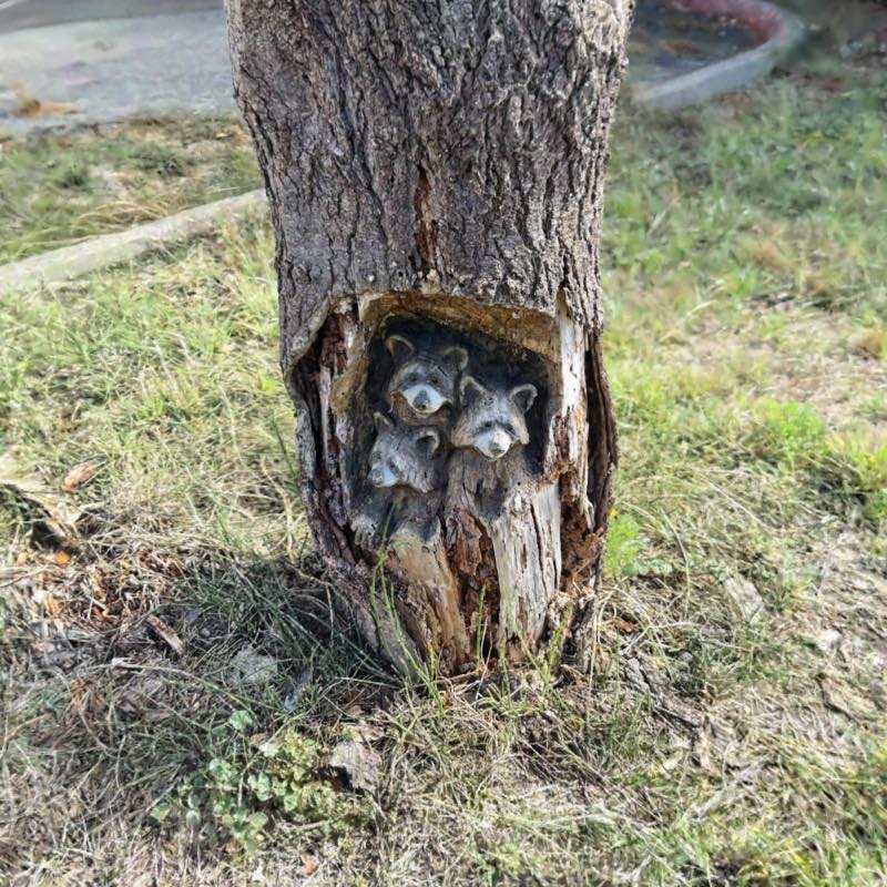 Raccoon Family Stump Carving - @rigelprime on Scaniverse
