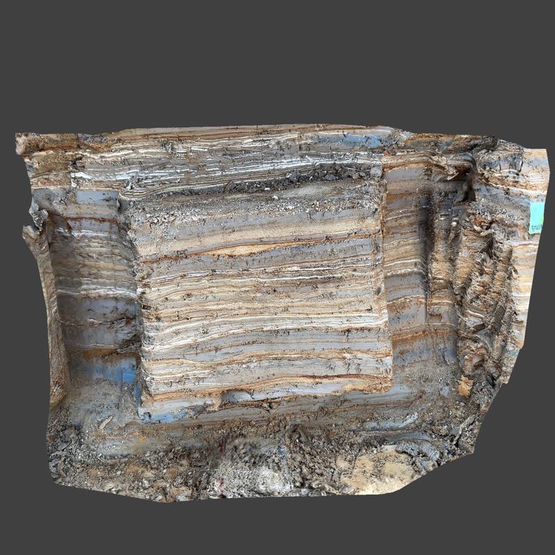 NZ423J - seismite sample - Nahal Ze’elim - Dead Sea Shores - Israel ...