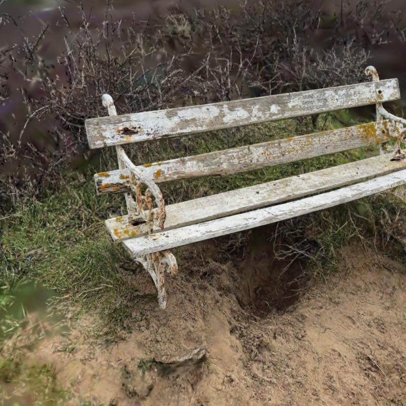 Berrow Bench - @Scannerian on Scaniverse